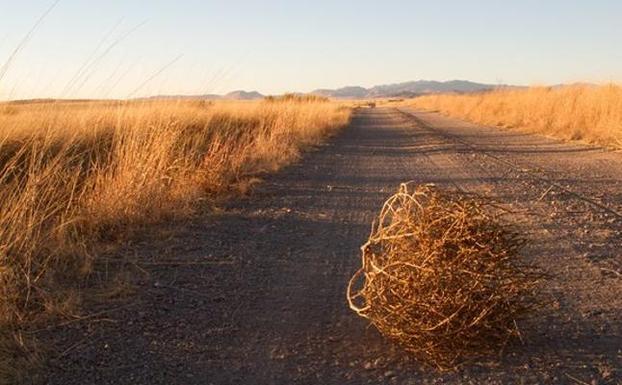 Objetos que conoces y seguramente no sepas cómo se llaman | La Verdad