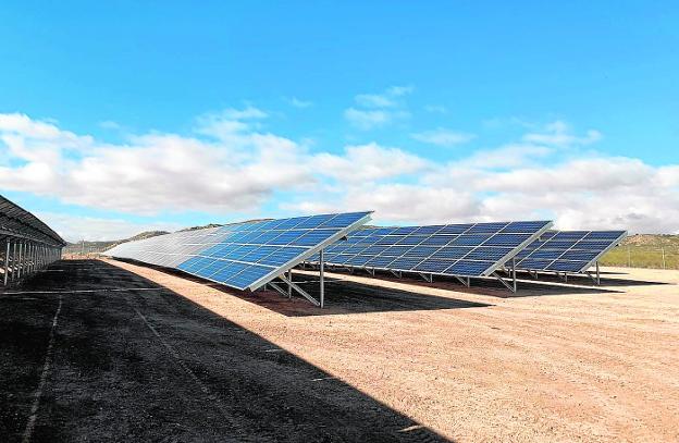 Campos Solares consigue transformar el sol en energía | La Verdad