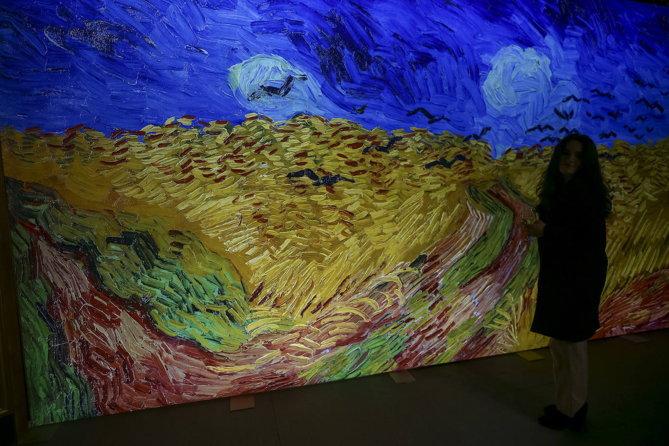 Fotos: 'Van Gogh, el sueño inmersivo' | La Verdad