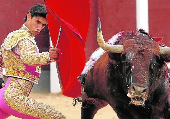 Toro sobresaliente de Baltasar Ibán | La Verdad